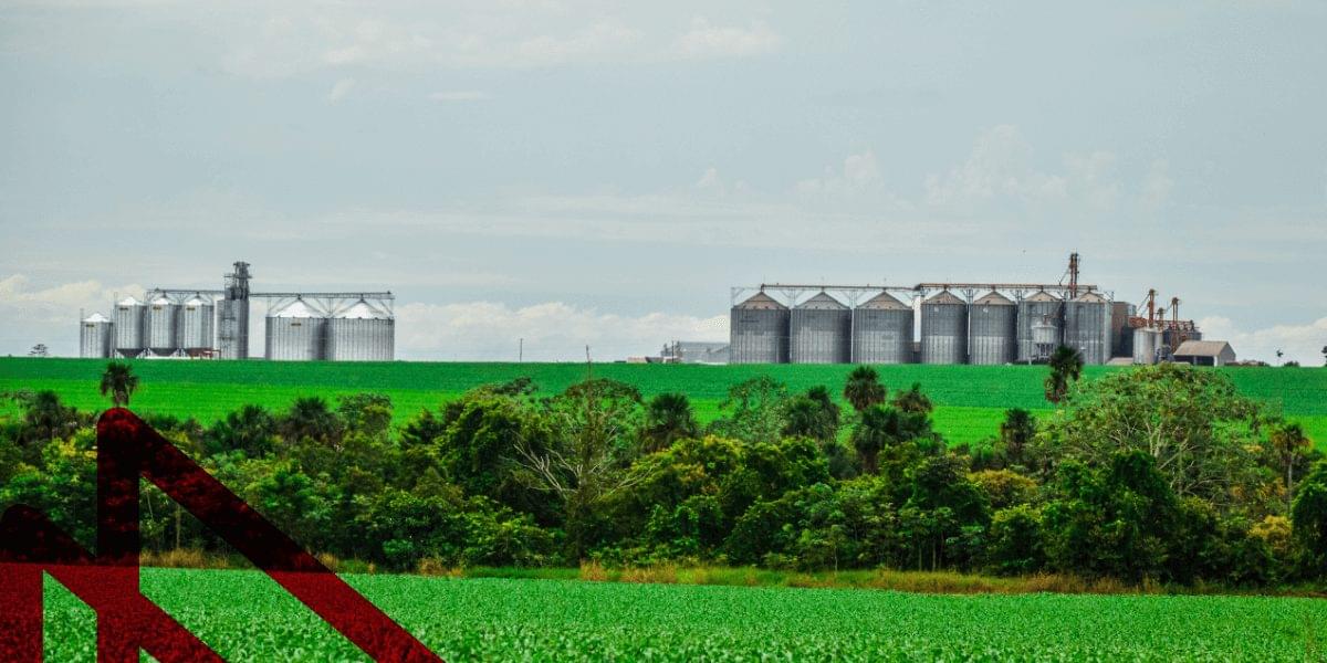 ALIAR / LA FAZENDA – PLANTA DE BALANCEADOS